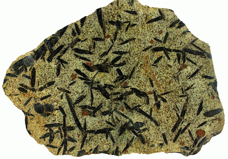 Amphibole Minerals: Properties, Types, and Geological Significance
