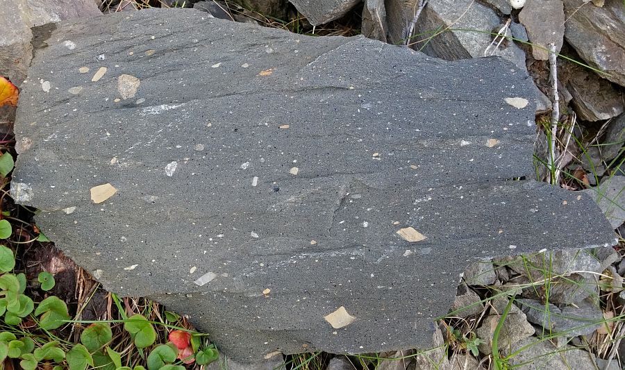 Diamictite Rock: Formation & Glacial Origins