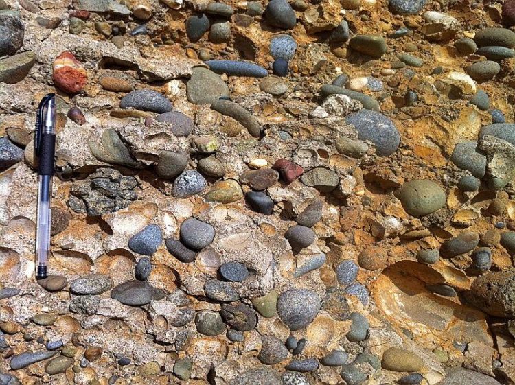 Conglomerate Rock: Clastic Texture, Formation & Types