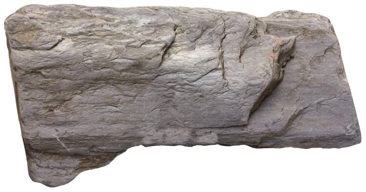 Slate vs Phyllite – Differences and Identification