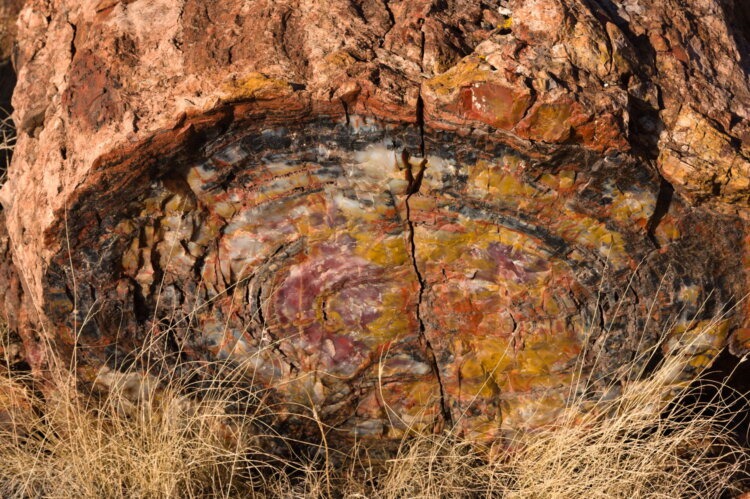 Hydrothermal Processes in Geology – Formation and Ore Deposits