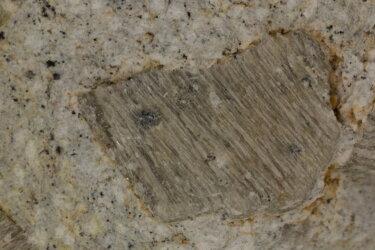 Porphyry – Texture, Formation, and Occurrence