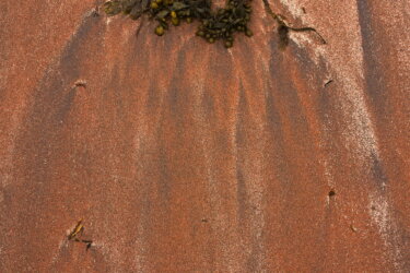 Is Sand Safe to Play With? A Geological Explanation